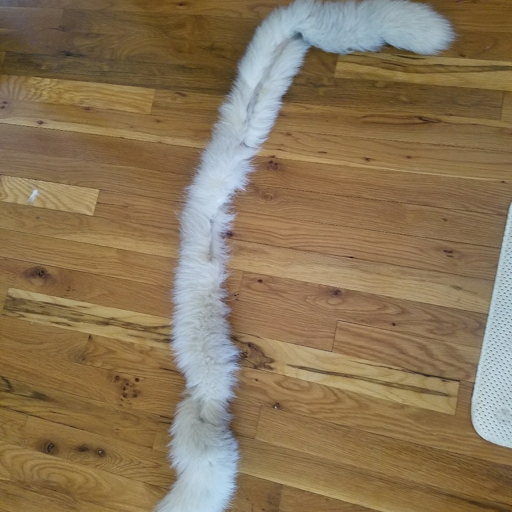 Authentic Fox Boa - Gem